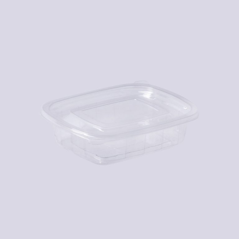 Momayzon – Website